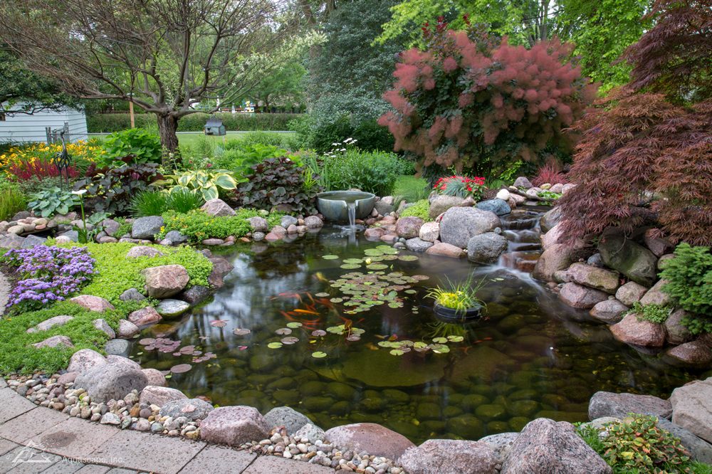 What is Involved in Owning a Pond? | BLC Yardworks Landscaping Tips